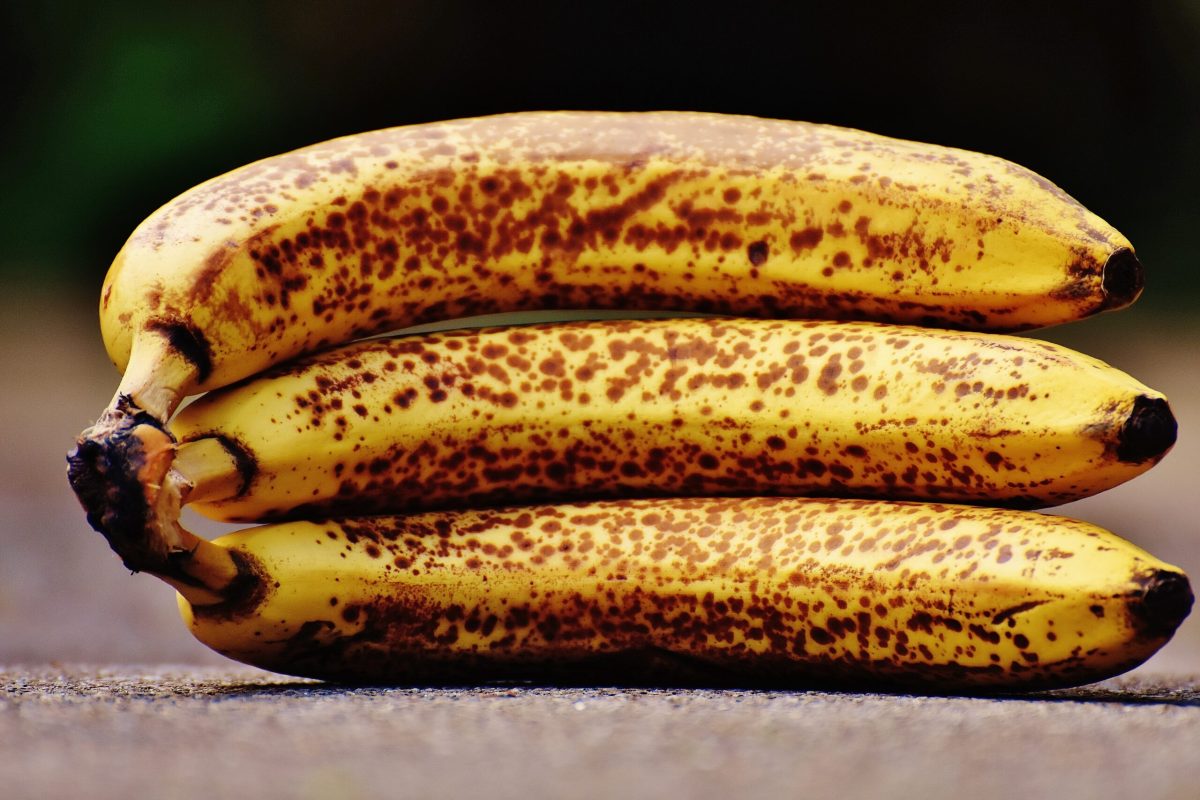 Diferencia entre plátano y banana: descubre sus características ...